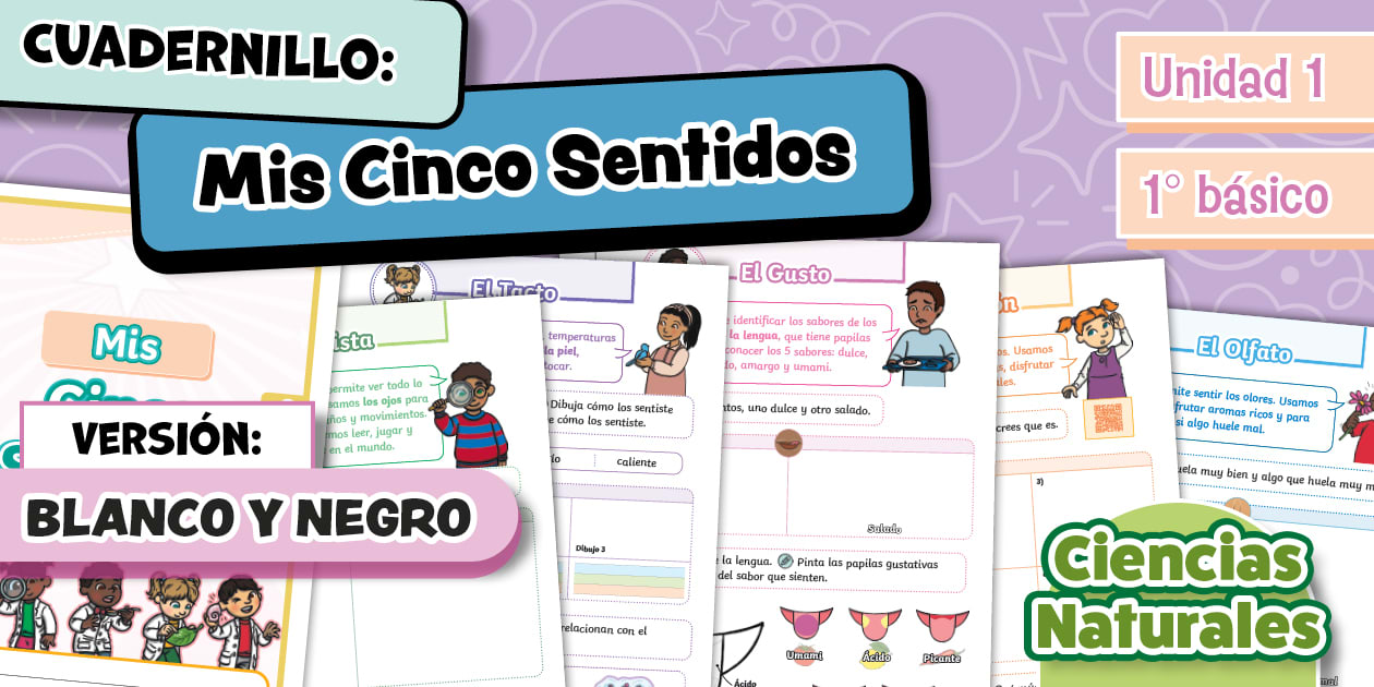 Cuadernillo: Mis Cinco Sentidos