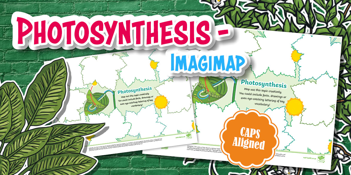 Intermediate Phase - Natural Sciences and Technology - Photosynthesis ...
