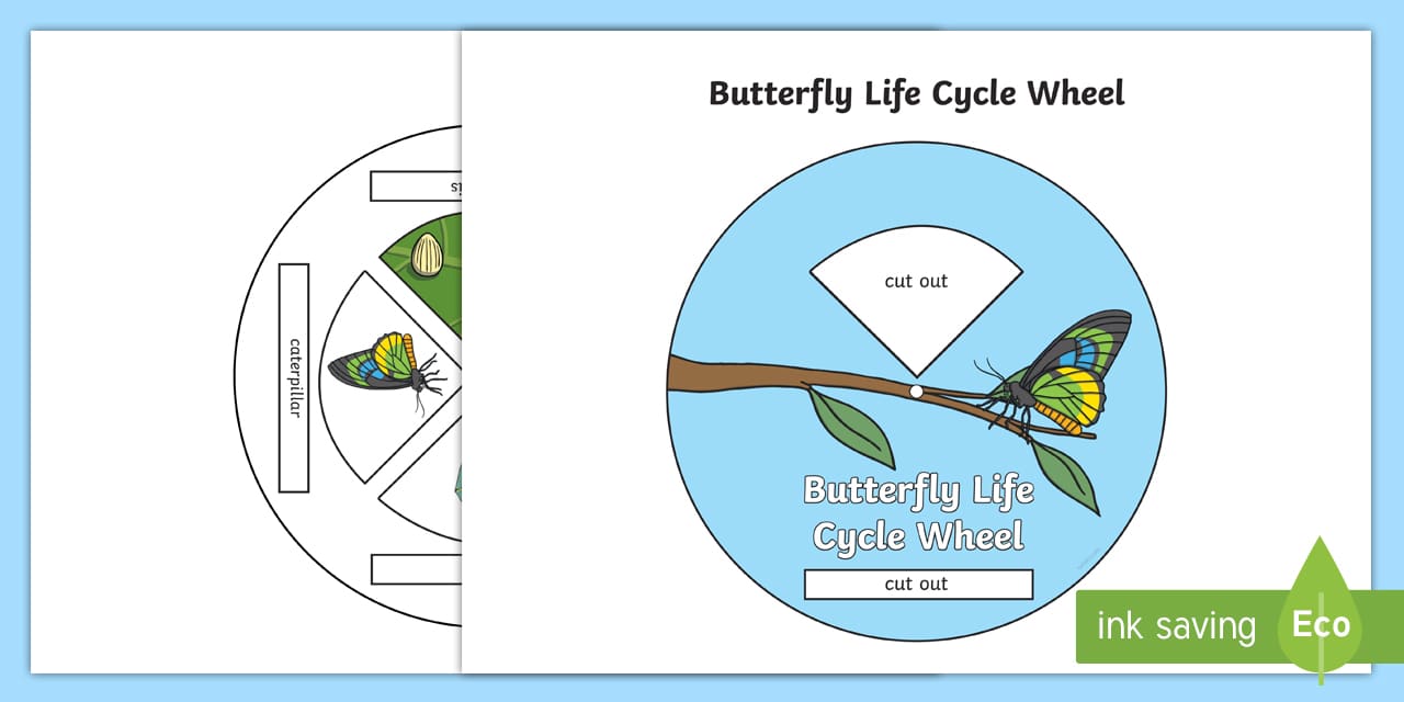 Butterfly Life Cycle Spin Wheel - life cycles, visual aid, wheels