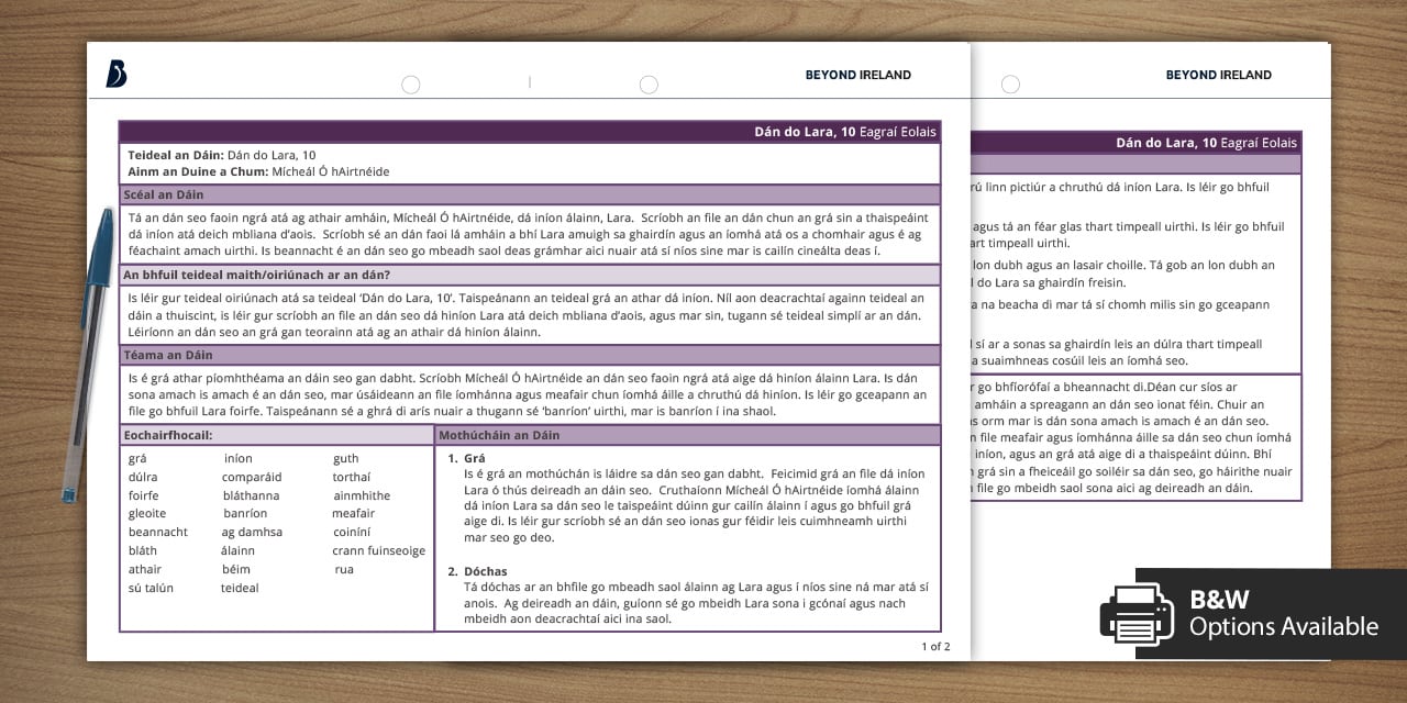 Dán do Lara, 10 Eagraí Eolais Difreáilte