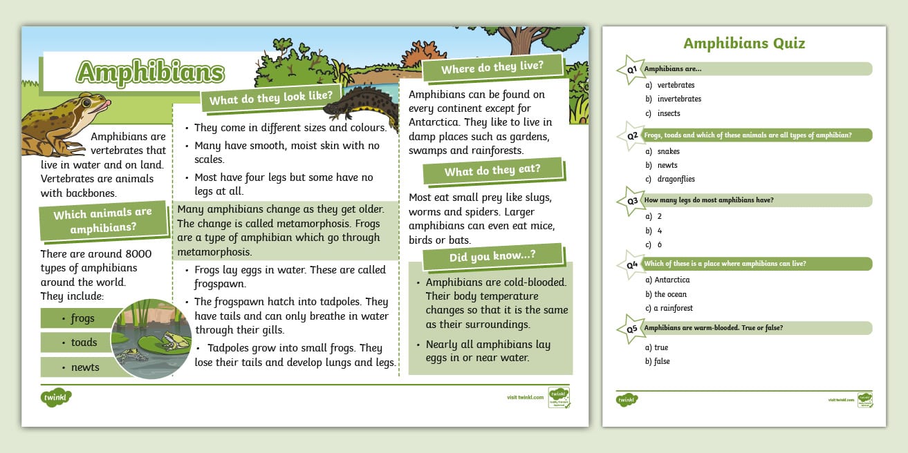 Amphibians Fact File and Quiz