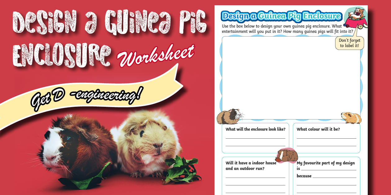 Design a Guinea Pig Enclosure Worksheet