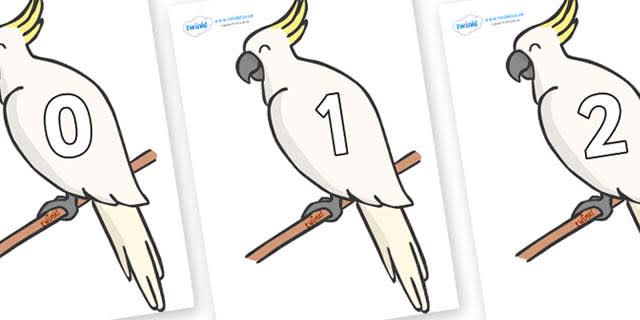 Numbers 0-100 on Cockatoos - 0-100, foundation stage numeracy, Number ...