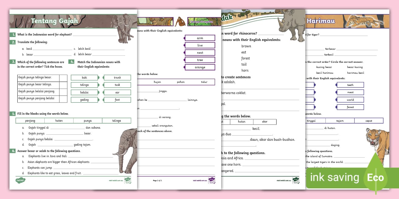 Indonesian Animals: Upper Primary Activity Pack