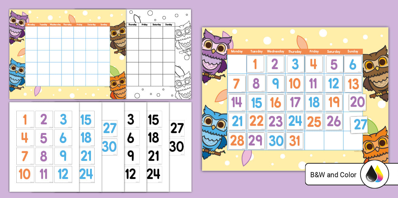 Adorable Owl Theme Calendar Display