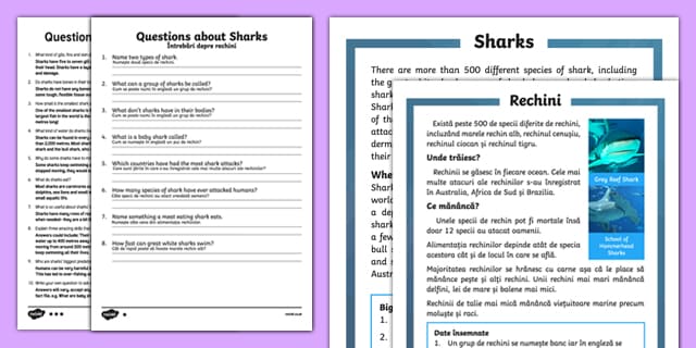 Sharks Differentiated Reading Comprehension Activity Romanian ...