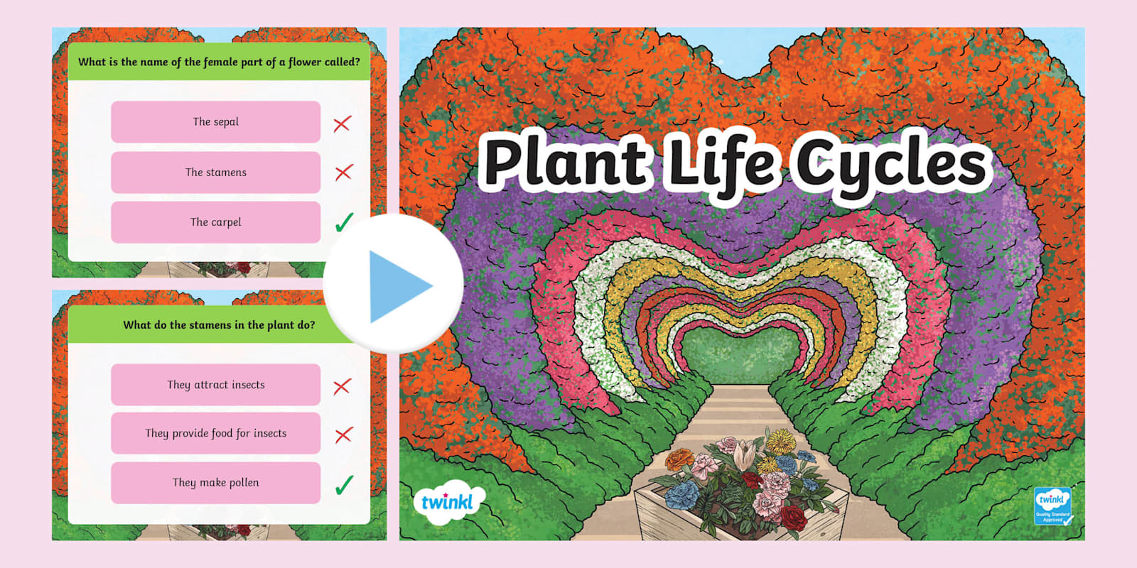 Plant Life Cycles PowerPoint Quiz