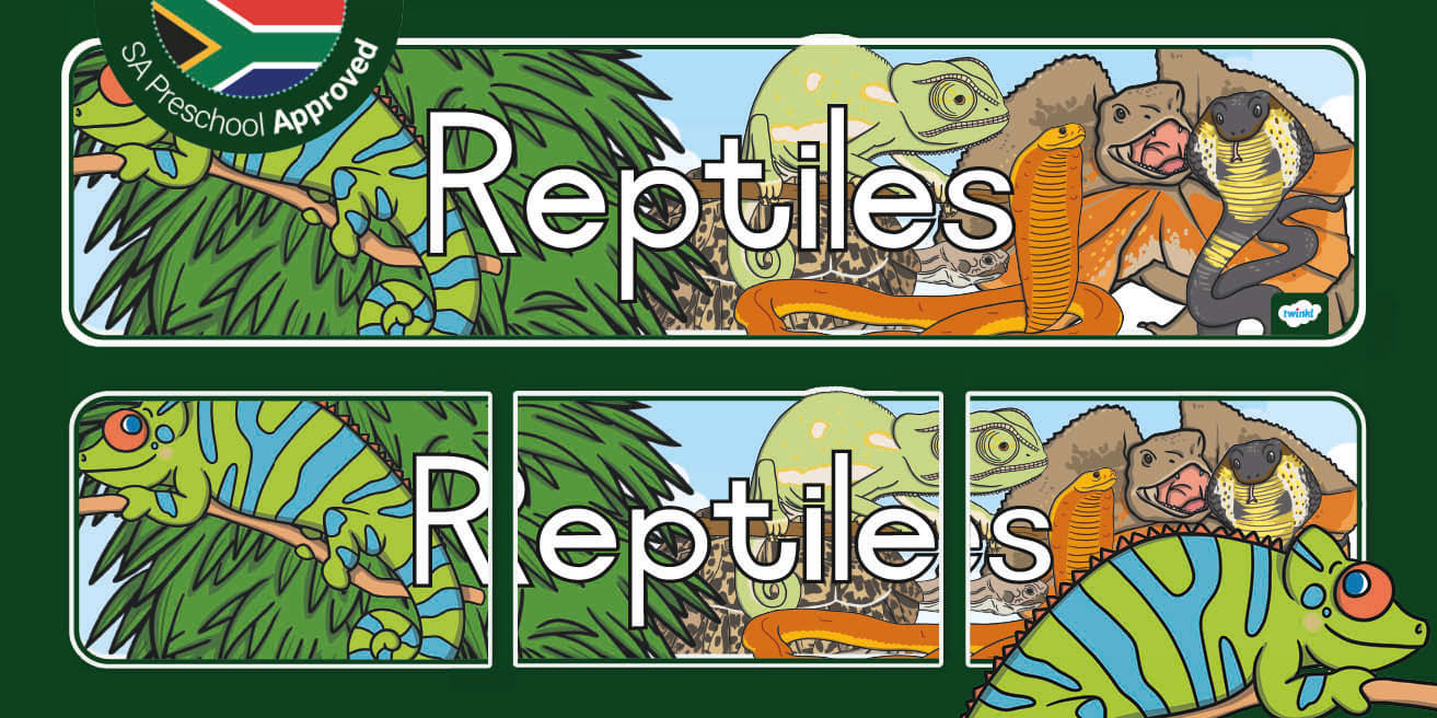 Reptiles: Display Banner