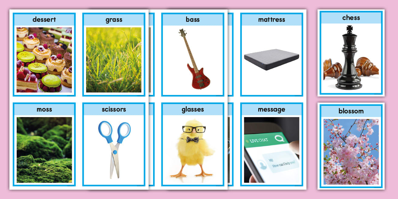 Words With ss Photo Flash Cards for K-2nd Grade