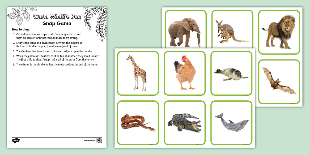 Conservation of Wildlife and World Wildlife Day Activities