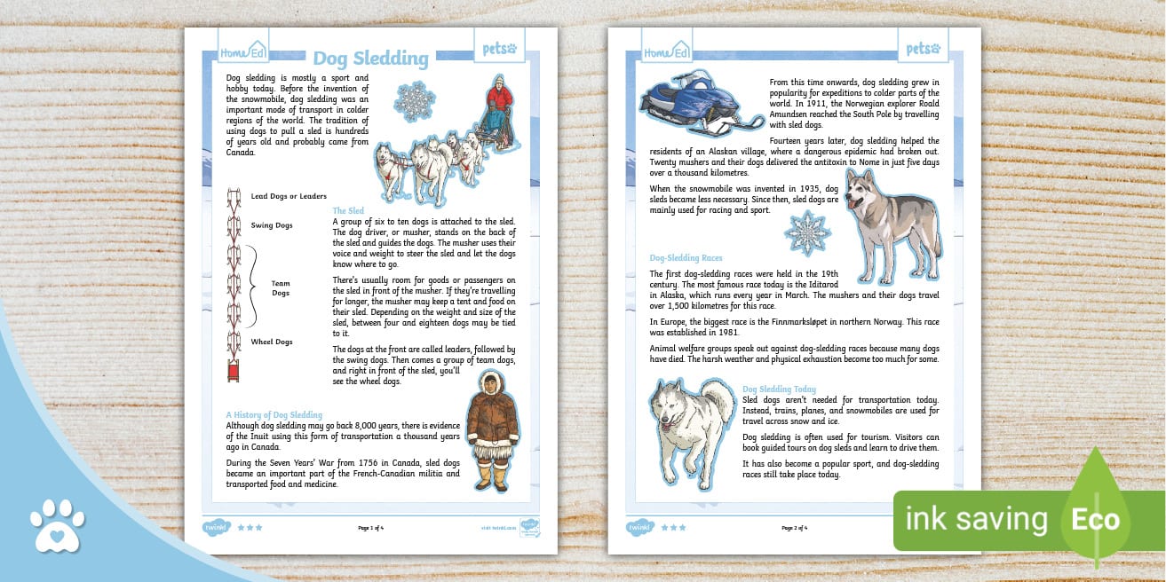 Dog Sledding - Information Sheet - Husky - Twinkl Pets