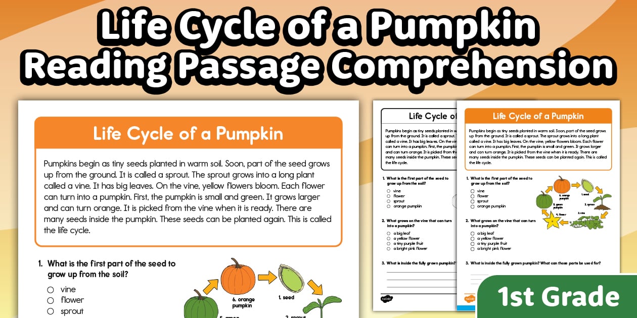 First Grade Life Cycle of a Pumpkin Reading Passage Comprehension Worksheet
