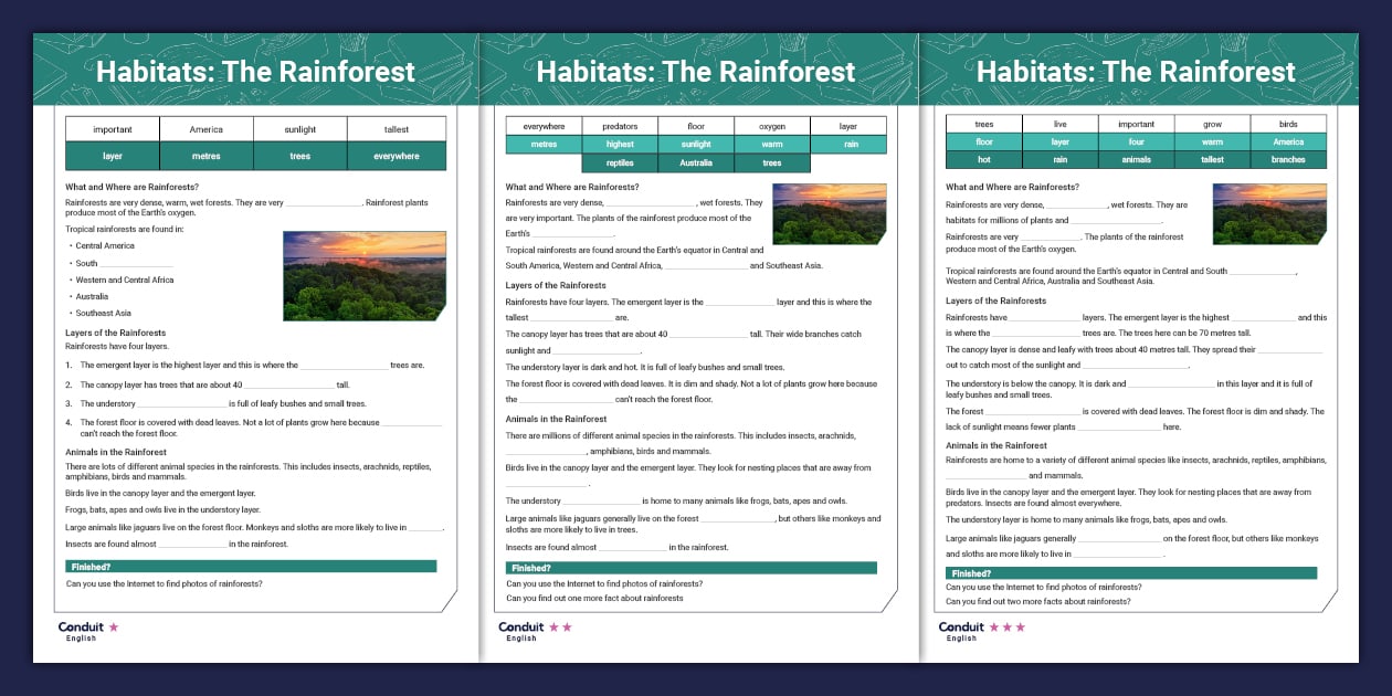 Reinforcing Reading: Rainforest Habitat Cloze Passages