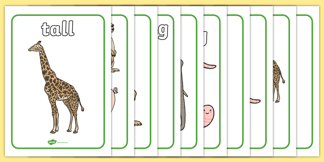 posters size comparison