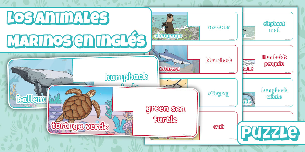Guía de Trabajo: Puzzle - Los Animales Marinos en Inglés