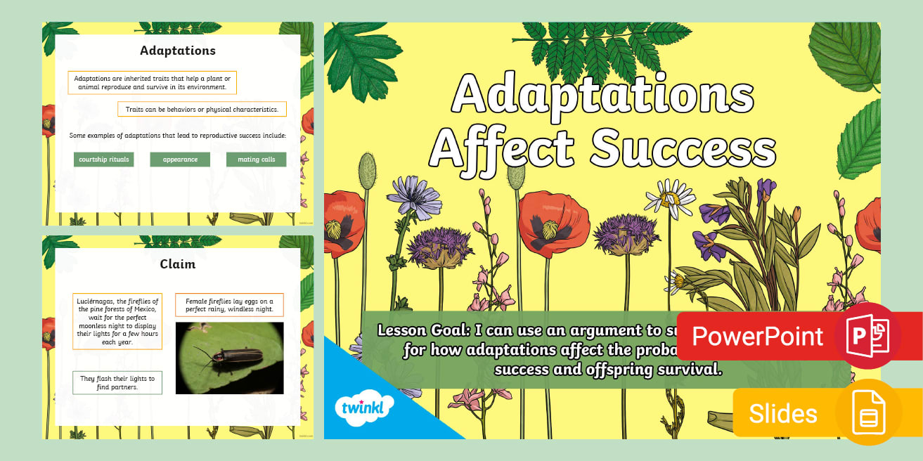 Sixth Grade Adaptations Affect Success PowerPoint & Google Slides