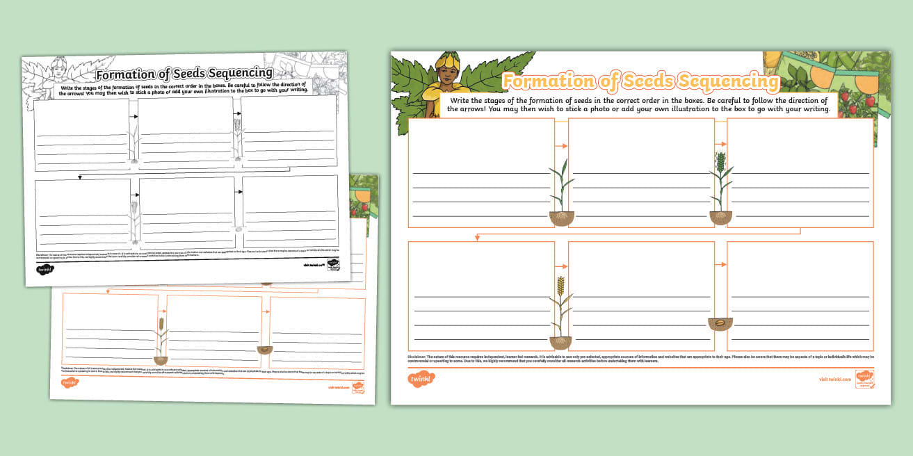 Formation of Seeds Sequencing Mind Map