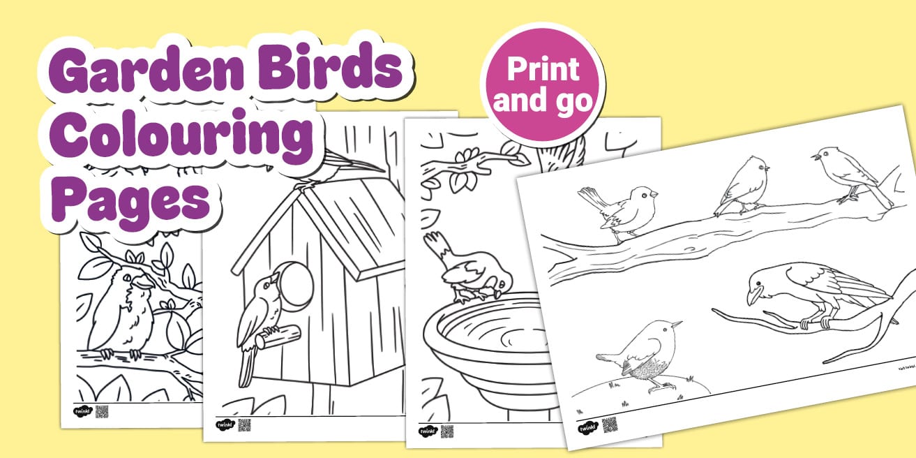 Garden Birds Colouring Pages