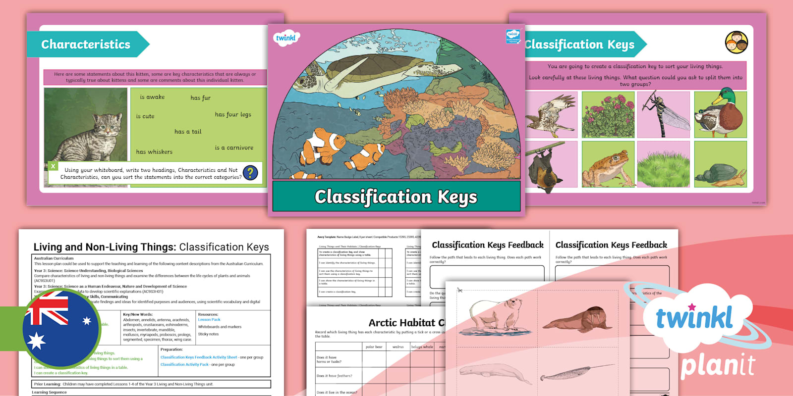 Y3 Science Living and Non-Living Things Classification L5