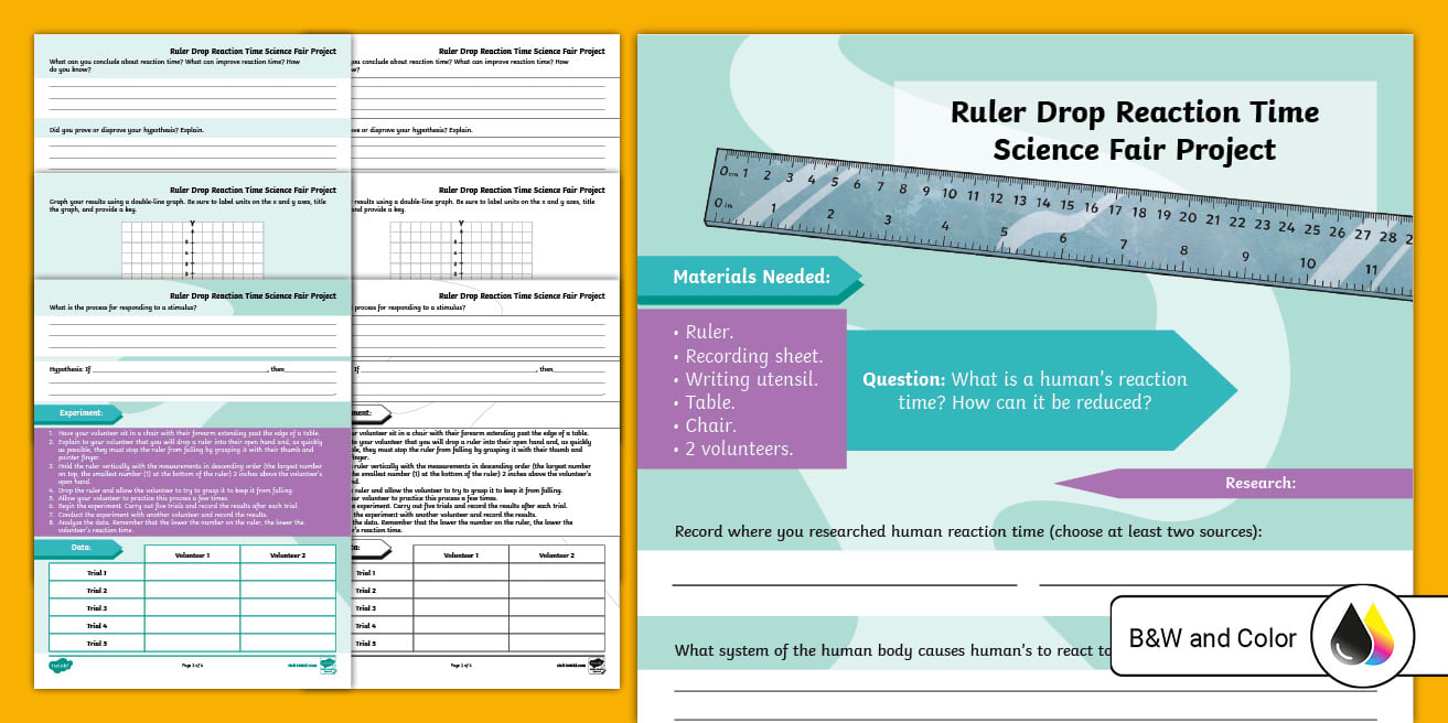 Reaction Time Test Science Project | Twinkl USA