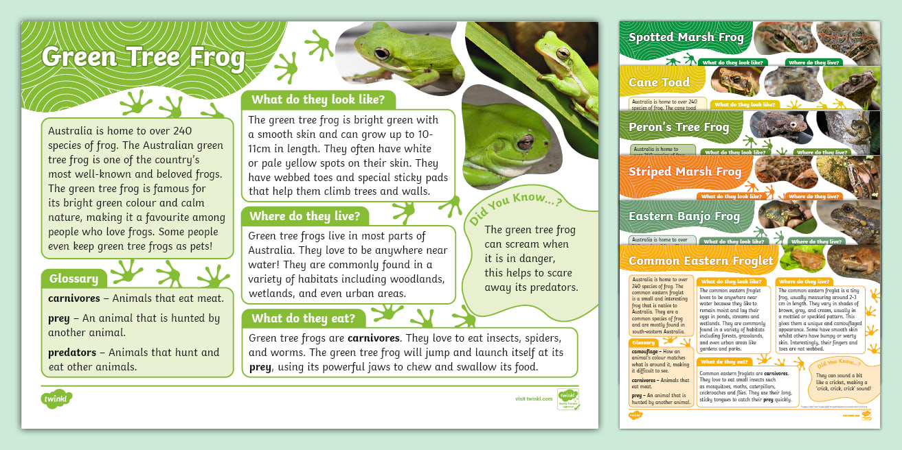 Australian Frogs Fact Files