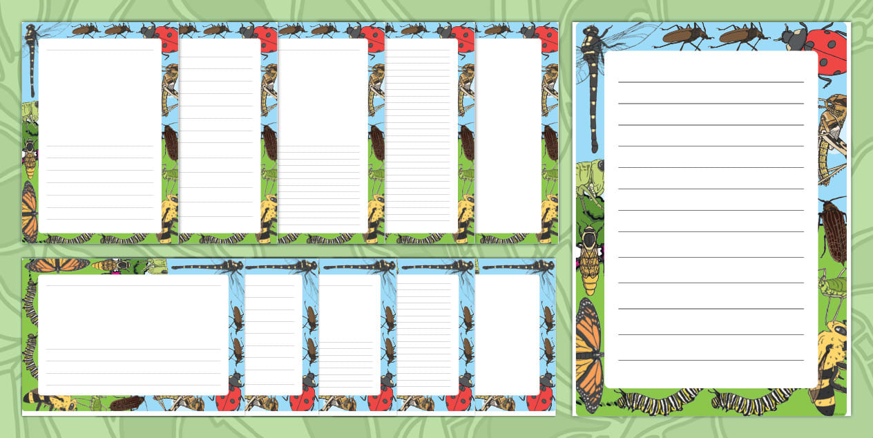 Foundation Phase - English - Writing - Page Borders: Insects(CAPS Aligned)