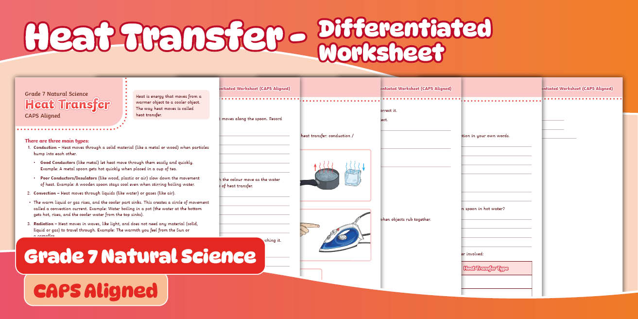 Grade 7 - Natural Science - Heat Transfer - Differentiated Worksheet ...