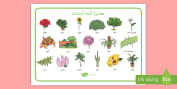 Plant Themed Adjectives Word Mat Word Mat - Arabic/English