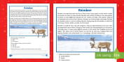 Reindeer Differentiated Reading Comprehension English/Afrikaans