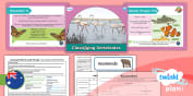 Science | Grouping Living Things Year 4 | Lesson Pack 2