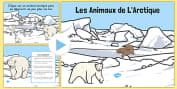 PowerPoint: L'habitat des animaux polaires - Twinkl