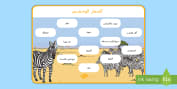 Safari Zebra Word Mat Word Mat - Arabic/English - Twinkl