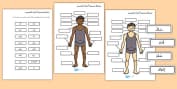 Body Parts Labelling Activity French