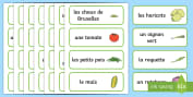 Grocery Store Dramatic Play Word Cards