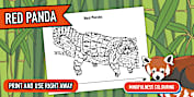Primary Mindfulness Red Panda Colouring Page French - Twinkl