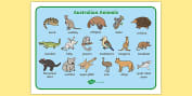 Australian Animals Word Mat (teacher made) - Twinkl
