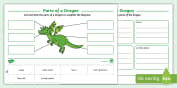 Dragons Story Books with Activities for Primary - Twinkl
