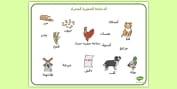The Little Red Hen Word Mat Arabic Translation - Twinkl