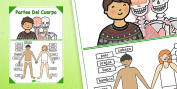 Parts of the Body Welsh Poster | Twinkl Resources | Wales