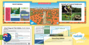 World Habitats Year 2 Lesson | Science | Twinkl - Twinkl