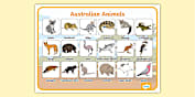 Australian Animals Word Mat