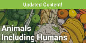 Animals, Including Humans Identify that animals, including humans