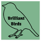 Twinkl Home Learning Hub - Twinkl