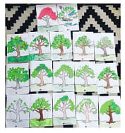 Seasons Activities for Children - Twinkl