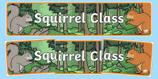 Squirrel Class Display Poster - squirrel, class, display poster, display