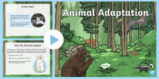 Winter Arctic Animals Habitat PowerPoint - North Pole