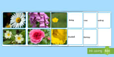 Name a variety of common wild and garden plants - 2014 Curriculum
