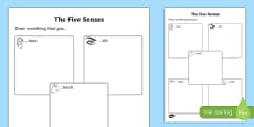 FREE! - 5 Senses Display Posters For Kids (teacher made)
