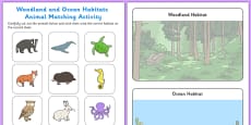 FREE! - Animals and Their Habitats Matching Activity