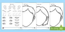 FREE! - All about the Human Body: My Body Activity Pack (EYFS)